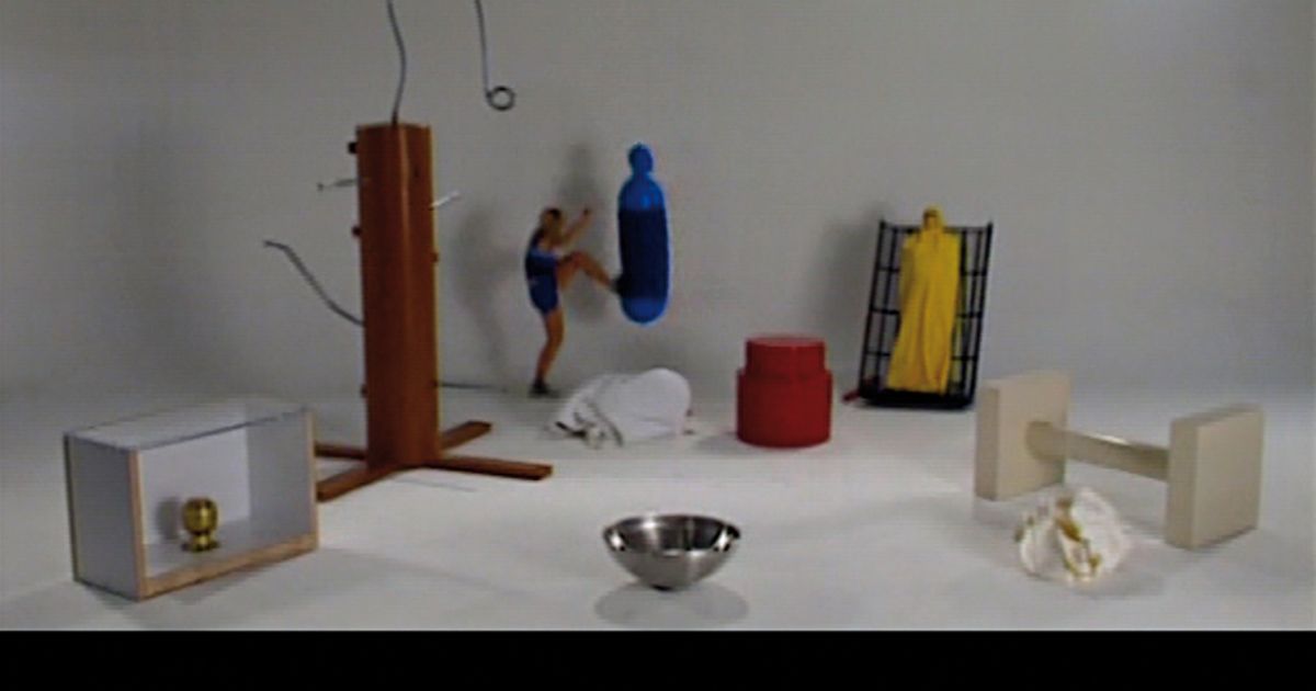 Test Room Containing Multiple Stimuli Known to Elicit Curiosity and ...